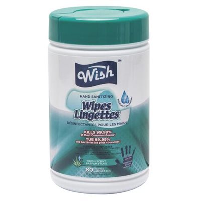 SANITIZING WIPES (80/CAN) – Tzanet